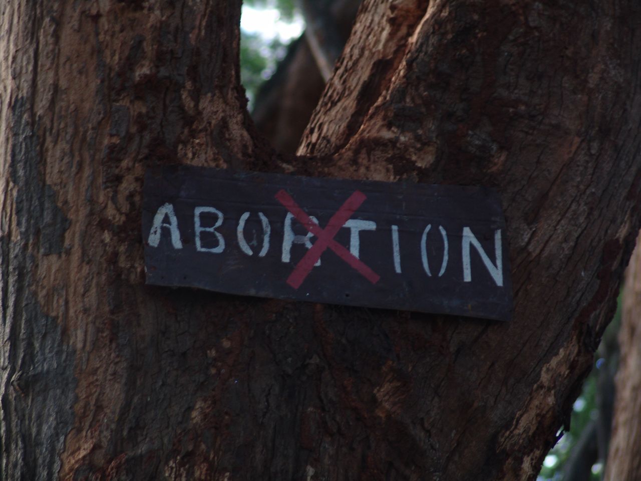 The Evolving Personhood of the Fetus: Abortion Ritual in Taiwan within ...