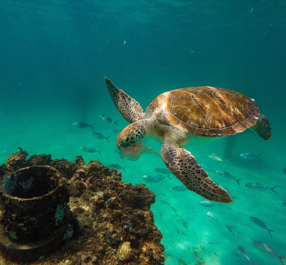 Effects of local traditional culture and workstation locations on ...