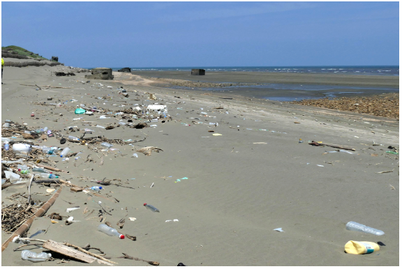 How to Reduce Your Environmental Footprint as a Tourist in Taiwan ...