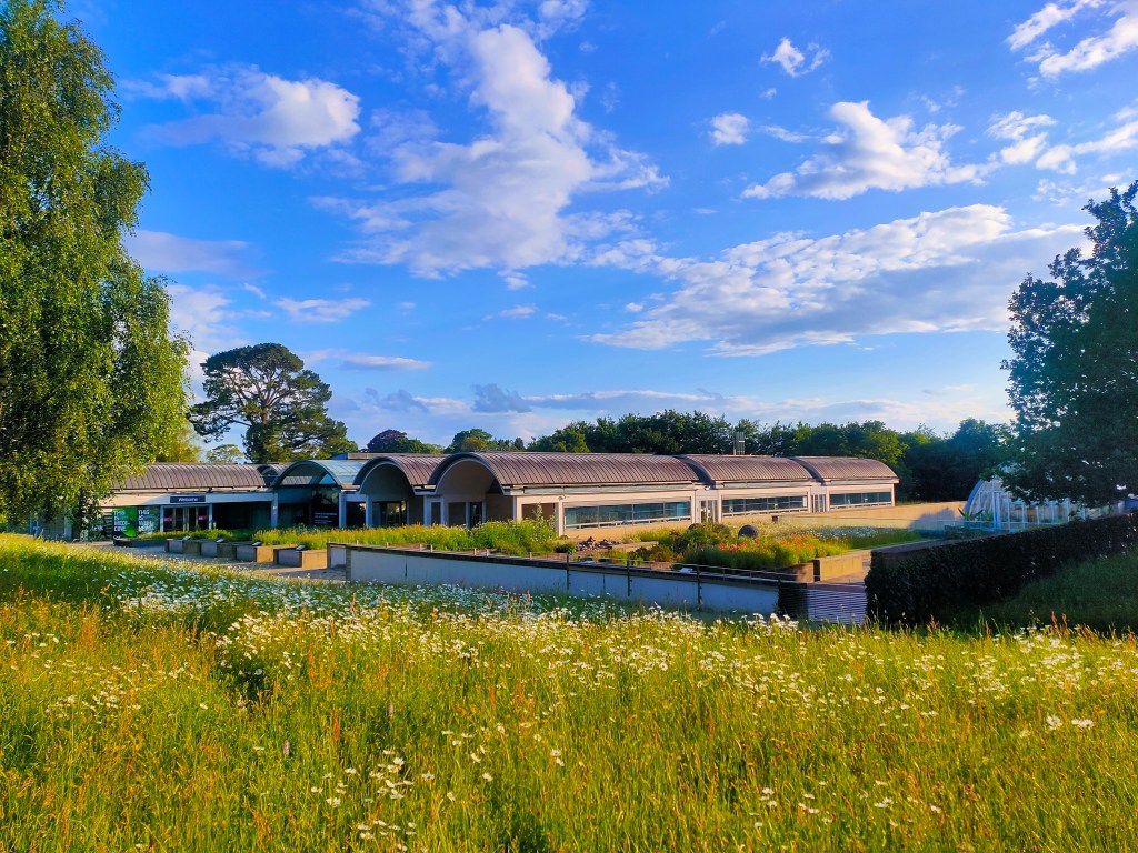 At Different Stages, the Same Roots: How Kew Gardens Shaped Our Path in ...